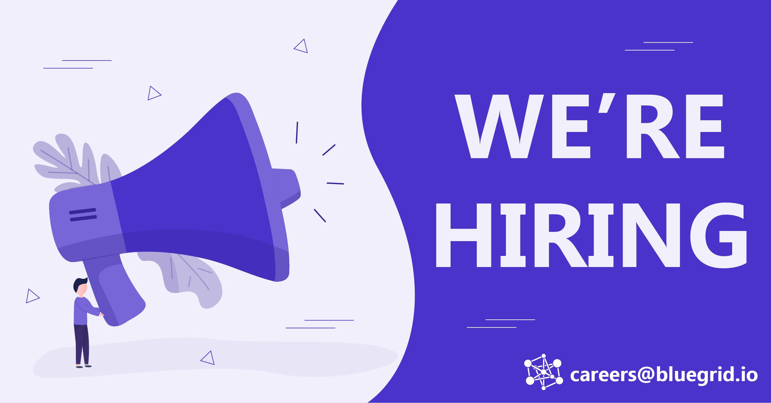 Python Developer - BlueGrid : BlueGrid