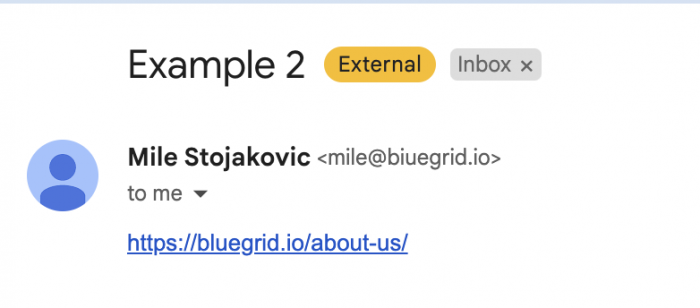 IDN Homograph Attacks: Guard Against Look-Alike Websites : BlueGrid.io